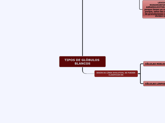 Tipos de Glóbulos Blancos - Mind Map